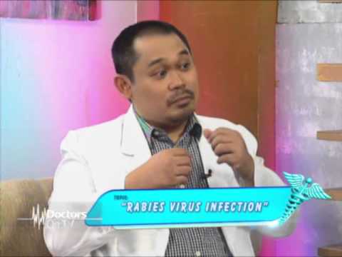 Rabies Infection: Treatment, Vaccines and Prevention