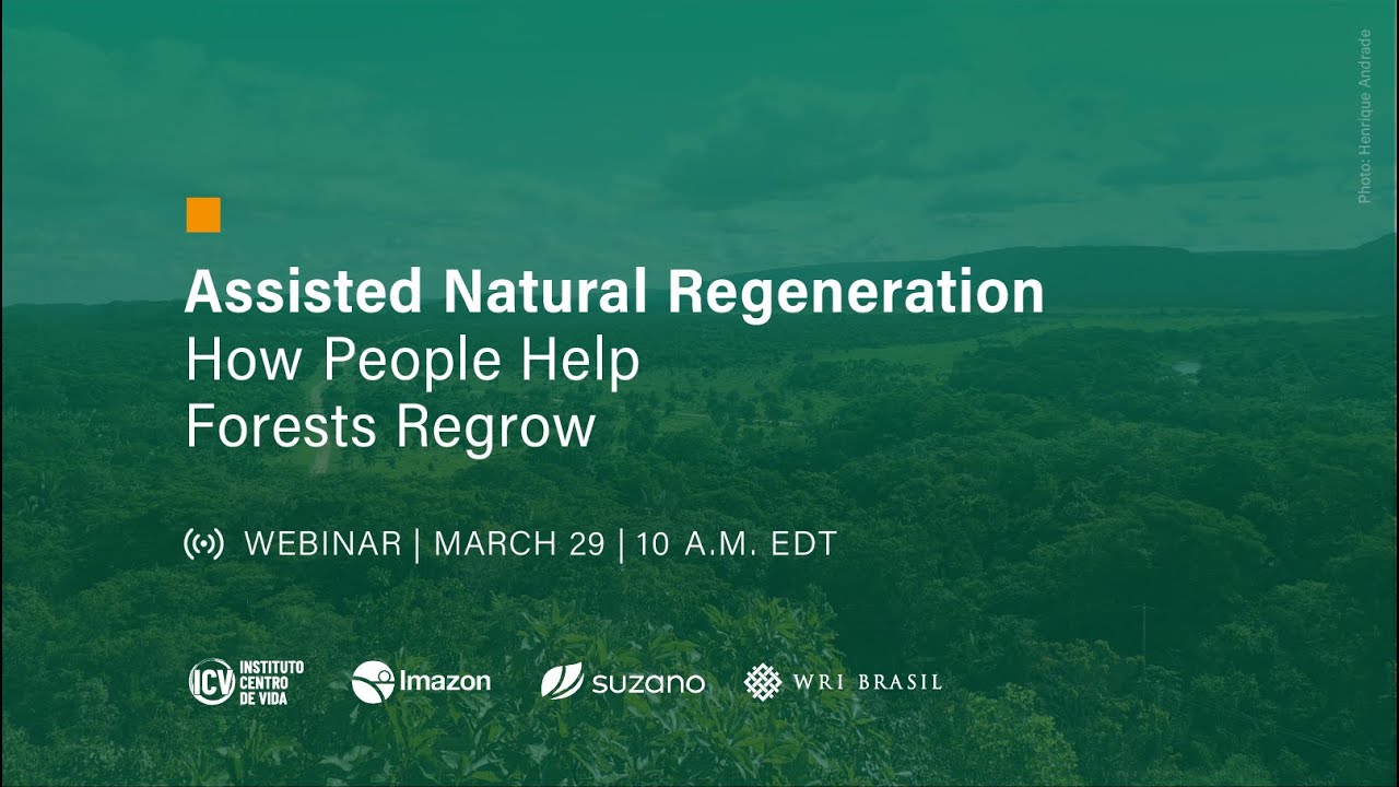 Assisted Natural Regeneration: How People Help Forests Regrow (English)