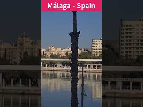 Captivating Views of Malaga: A Glimpse from the Port