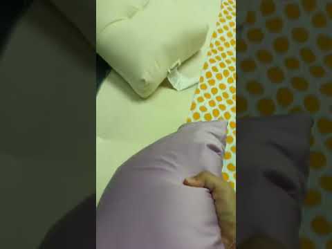 Organic Travel Size and Standard Size 20x26 inches Pillow!