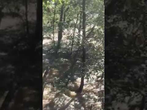 Tar River Flood in Rocky Mount NC after Hurricane Matthew