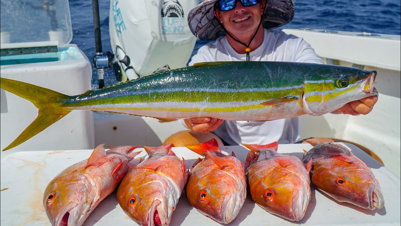 GIANT Rainbow Runner & Snapper! Catch Clean Cook (Commercial Fishing)