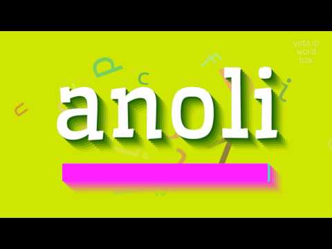 ANOLI - HOW TO PRONOUNCE ANOLI?