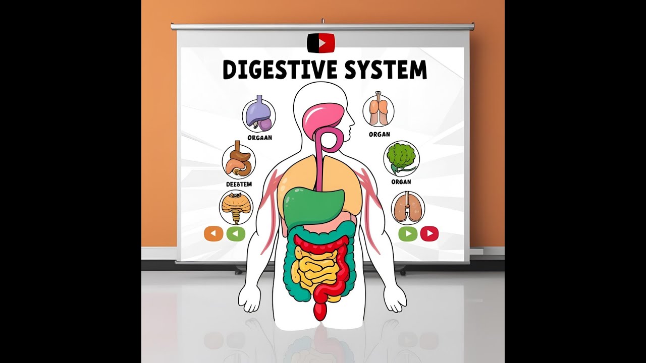 Explore the Digestive System with This PowerPoint Template! 🧠🍎