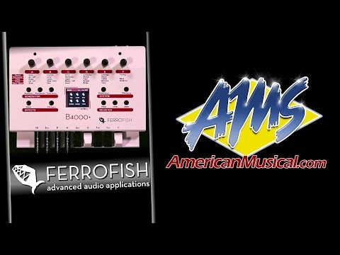 Ferrofish B4000+ Organ Module | Reverb