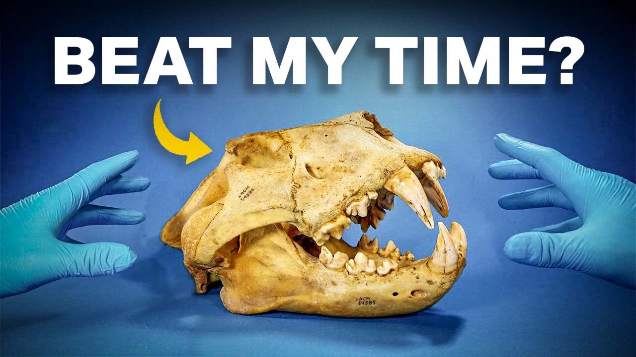 Mystery Skull Speedrun - EP. 1