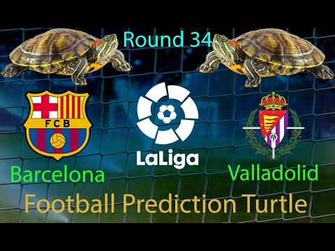 Bercelona vs Valladolid ⚽ La Liga 2024/2025 🐢World Football Prediction Turtle