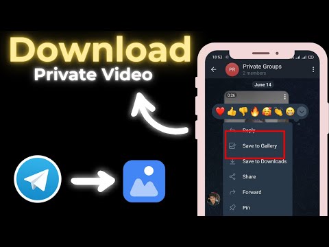 How to Download Telegram Private Group Video in Gallery
