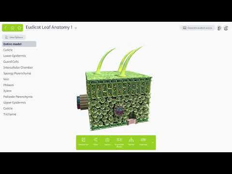 Corinth Individual Education kopen | VR Expert | Hardware & Service