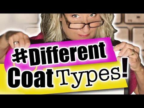 Different Dog Coat Types and How to CARE for them at Home