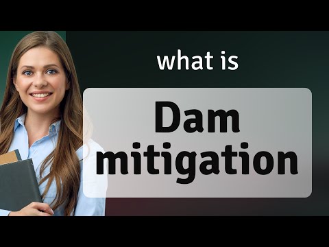 Understanding Dam Mitigation: A Comprehensive Guide