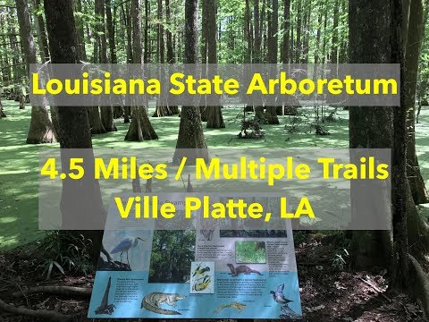 Louisiana State Arboretum - Trails in Louisiana Near Lafayette