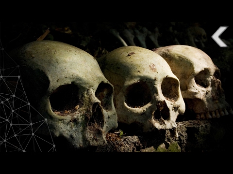 Everything Scientists Could Learn By Looking At Your Skull