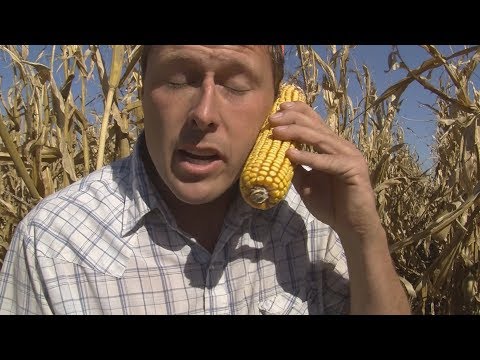 iPhone I Like You #ImAFarmer (Taylor Swift - Look What You Made Me Do) PARODY