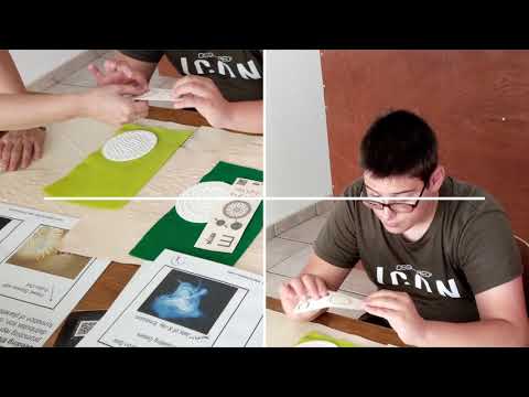 WS#4 – Promoting Inclusive STEM Education by Creating Tactile Material ...