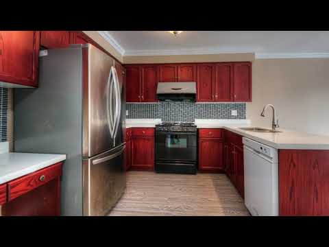 619WhiteElm