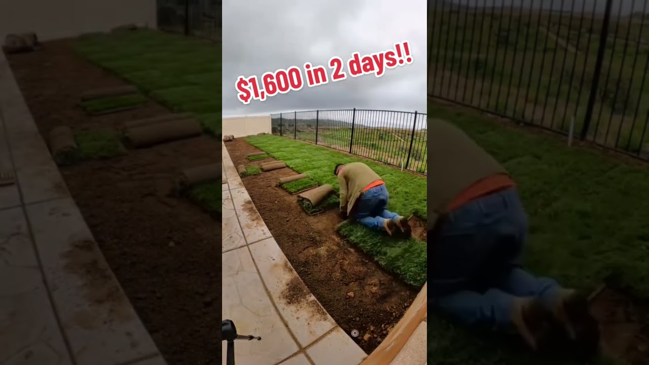 Quick Sod Installation! #landscaping #hardscaping