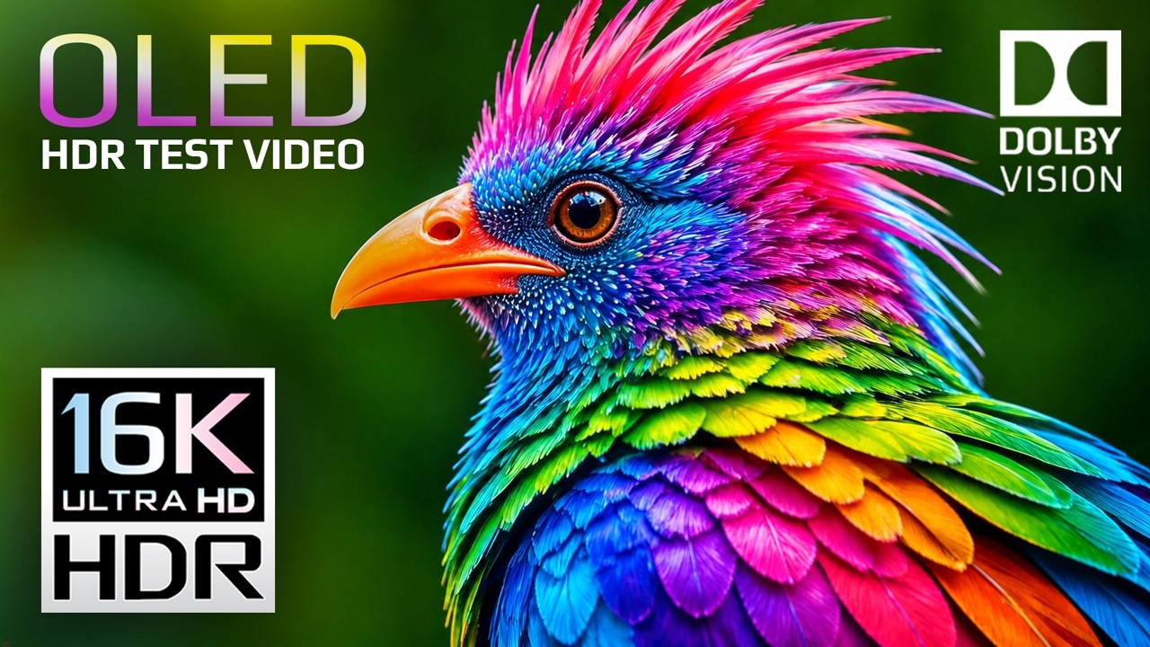 Ultra Massive Details OLED HDR TEST Nature Video | 16K HDR Dolby Vision 240FPS (8K 4K Video TV)