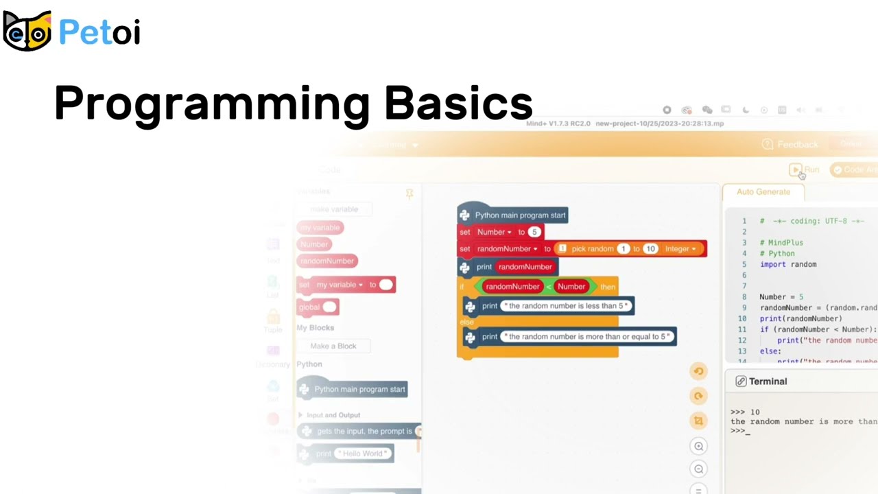 Learn Robotics Programming Basics with Petoi Coding Blocks Curriculum 02 | Petoi Camp