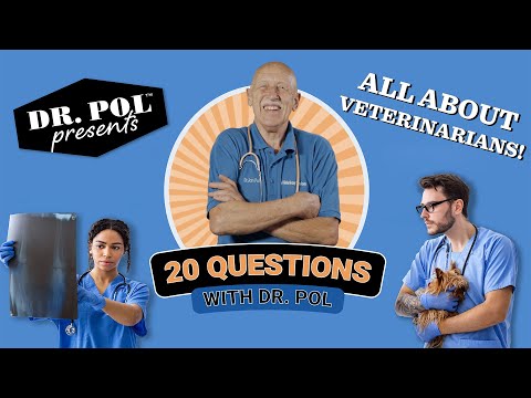 20 Questions With Dr. Pol - Answering the Top 20 Questions on Google About Becoming Veterinarian.
