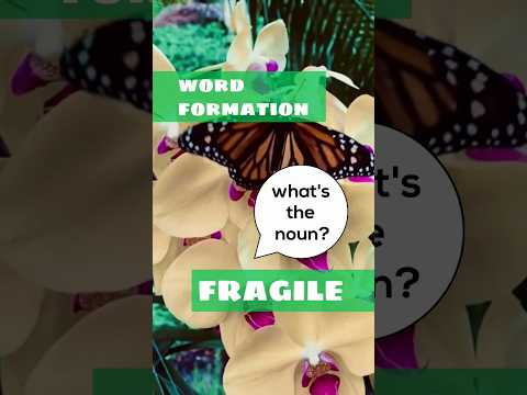 What's the noun form of "fragile"?