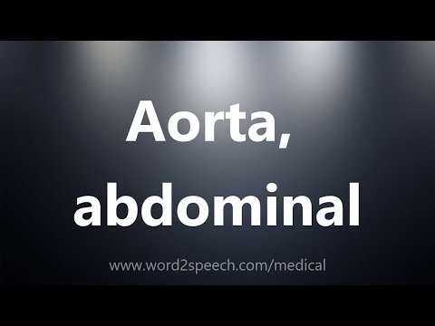 Aorta, abdominal - Medical Definition