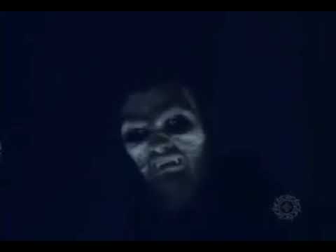 Dark Secret by Christine Feehan Book Trailer