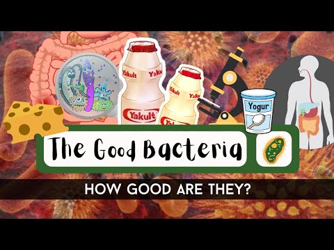 GOOD BACTERIA- HOW GOOD ARE THEY?