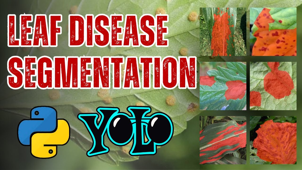 Leaf Disease Segmentation with YOLOv9 | Full Training & Inference Tutorial