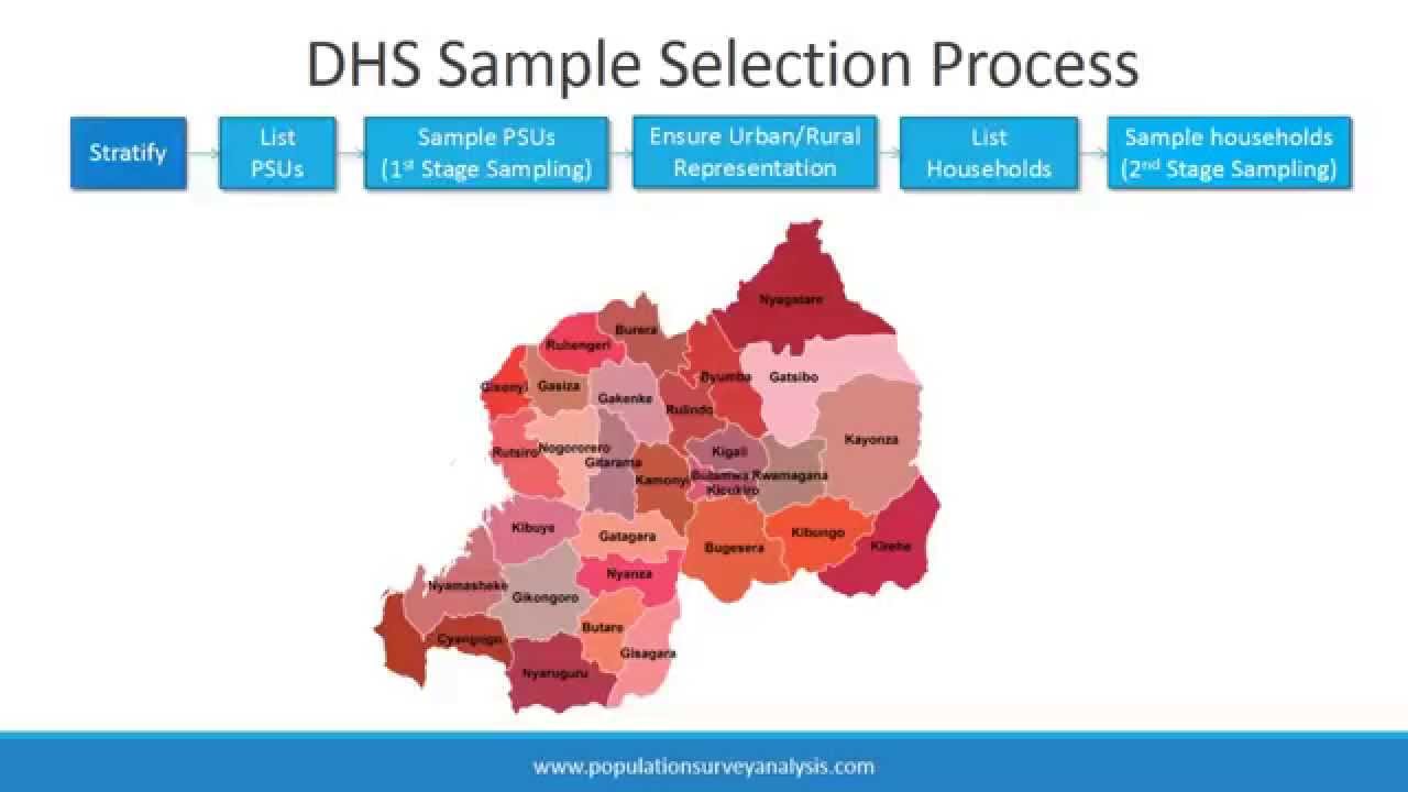 Data: What is the DHS? (Low)