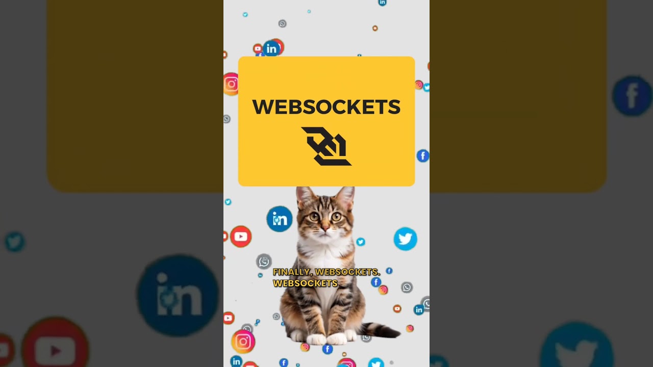 Types of APIs, explained by cats. #cat #code #api #soap #rest