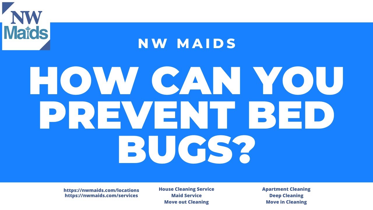 NW Maids House Cleaning Service - How Can You Prevent Bed Bugs
