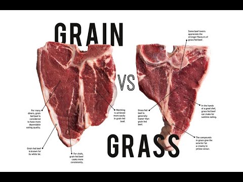 Why you don't like the taste of grass fed meat