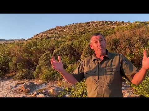 What is Conservation