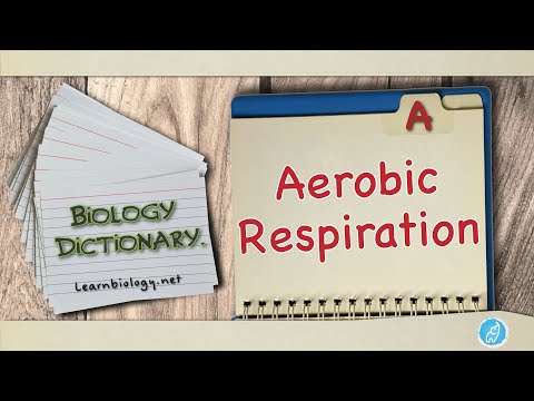 Aerobic Respiration | Biology Dictionary | Spoken Biology Definitions