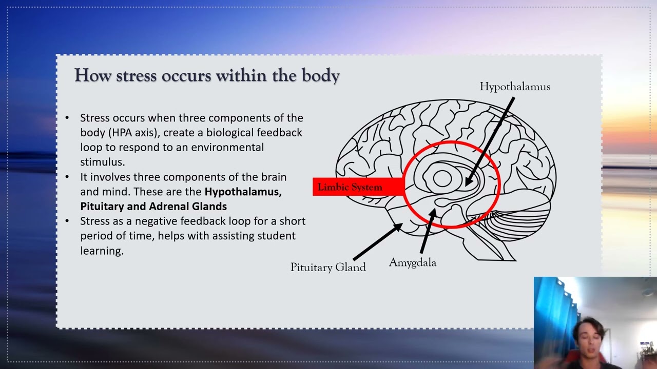Creating an optimal learning environment, through managing stress.