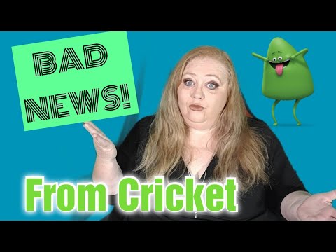 The Crazy New Cricket Upgrade Policy for 2023 That You NEED to Know About