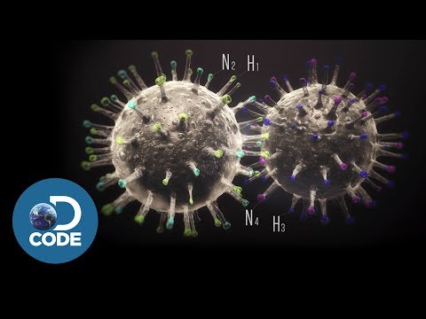 Why Is Influenza so Dangerous?