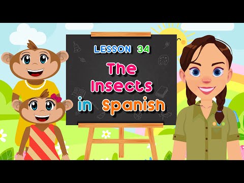 Spanish for Kids - Insects | Spanish Safari Show Lesson 34