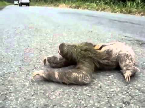 Steam Community :: Video :: lenivec mpron