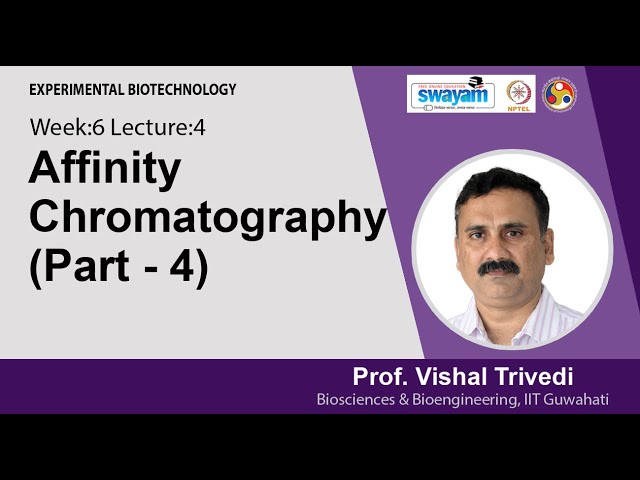 Understanding Metal Affinity Chromatography: A Comprehensive Guide ...