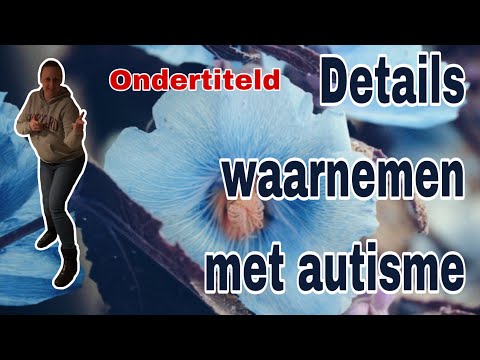Autisme en details waarnemen.