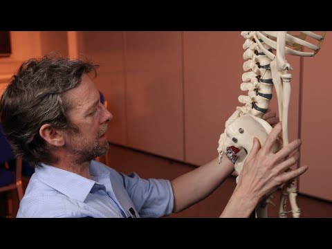 Sacrum anatomy