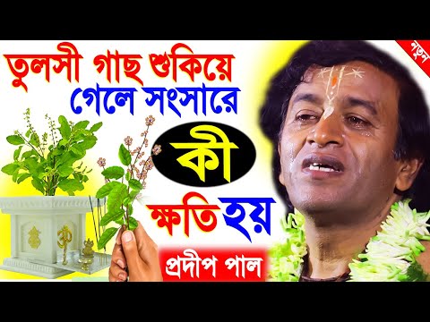 তুলসী গাছ শুকিয়ে গেলে সংসারে কি ক্ষতি হয় ? pradip pal kirtan 2022 | prodip pal kirton | prodeep