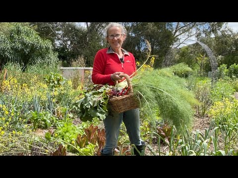 Self Sufficiency Means Making the Most of Garden Produce | Permaculture Living