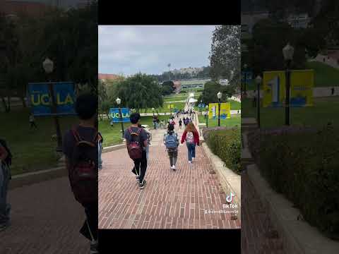 Is it hard to get in Ucla? #shorts #trending #students #ucla #uclabruins #campus #love