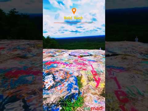 South Carolina best places #shorts #travelvideo #carolina #southcarolina #travel #explore #nature