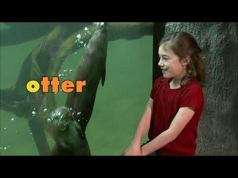 Between the Lions: Kids Say Words that Begin with Short o
