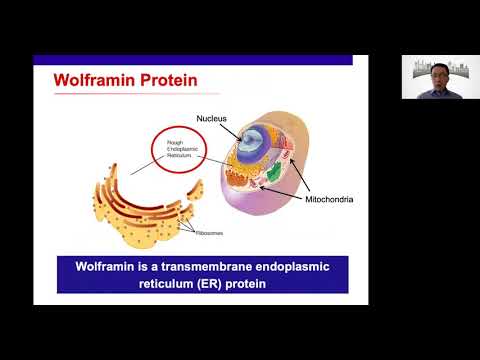 Loss of Vision in Wolfram Syndrome - Dr Patrick Yu Wai Man
