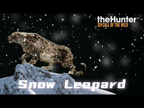 Steam Community :: Video :: Snow Leopard Hunt
